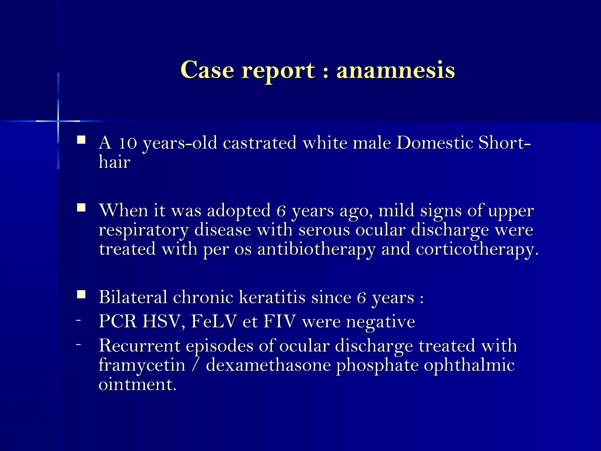 Corneal hemangiosarcoma in a cat - CAZALOT - ESVO Pragues 2011 | PPT