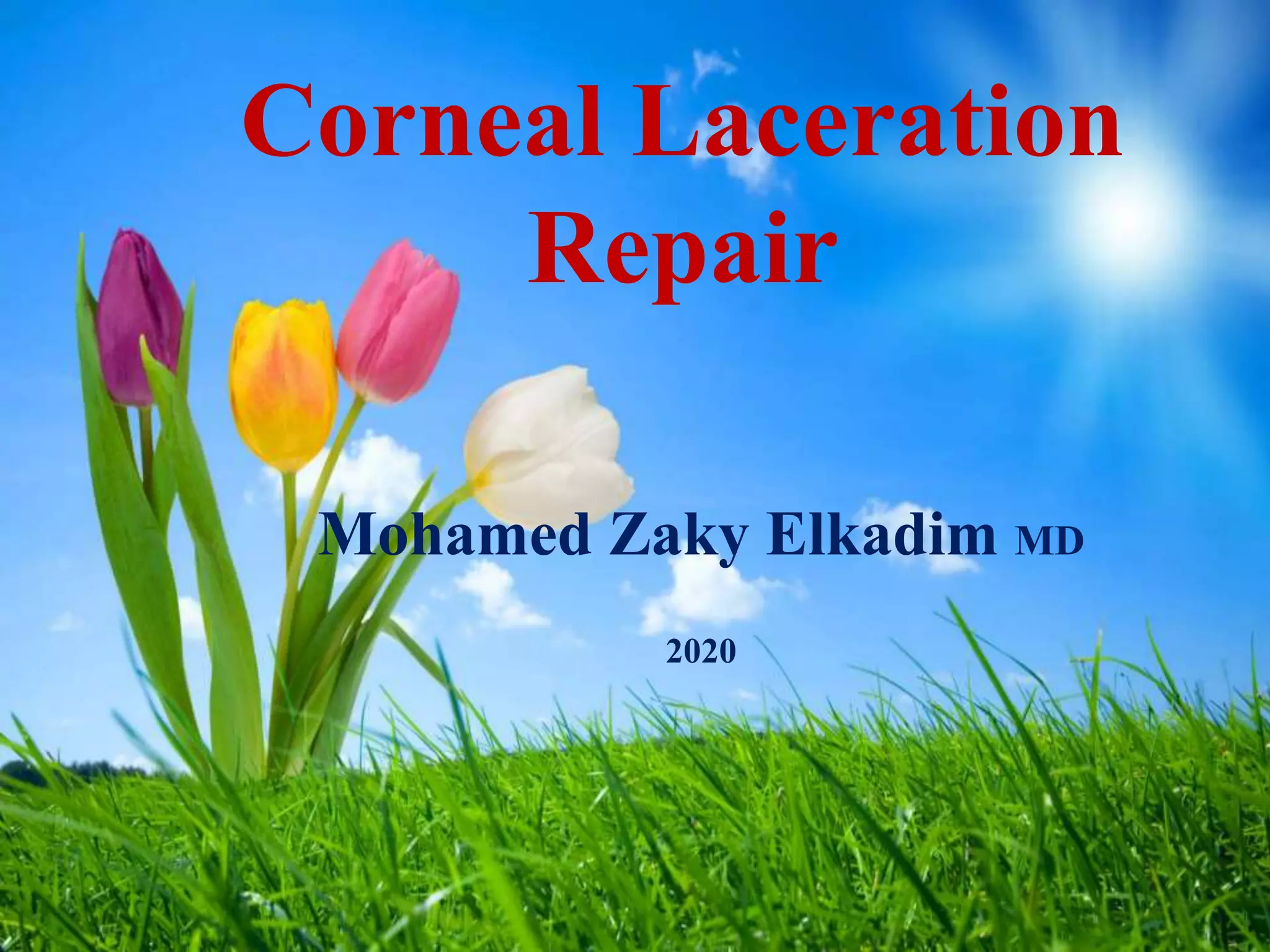 Corneal laceration repair tips | PPT