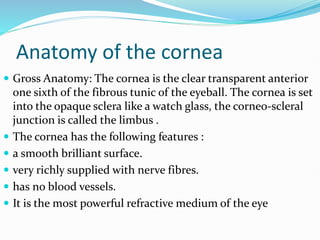 corneal opacities CORNEA transparency | PPTX