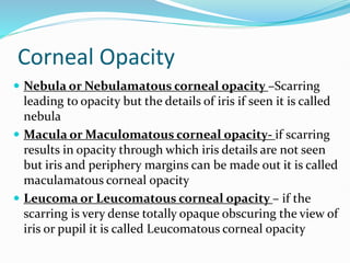 corneal opacities CORNEA transparency | PPTX