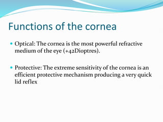 corneal opacities CORNEA transparency | PPTX