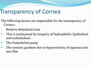 corneal opacities CORNEA transparency | PPTX