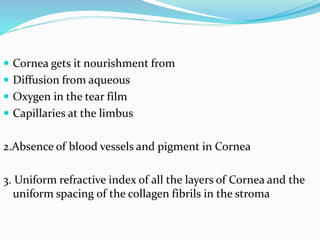 corneal opacities CORNEA transparency | PPTX