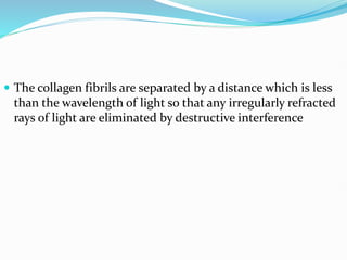 corneal opacities CORNEA transparency | PPTX