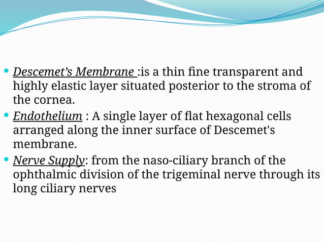 corneal opacities.pptx nebula macula leucoma | PPT
