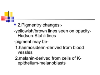 Corneal opacity | PPT