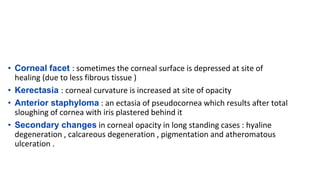 Corneal opacity 2.pptx