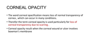 Corneal opacity 2.pptx