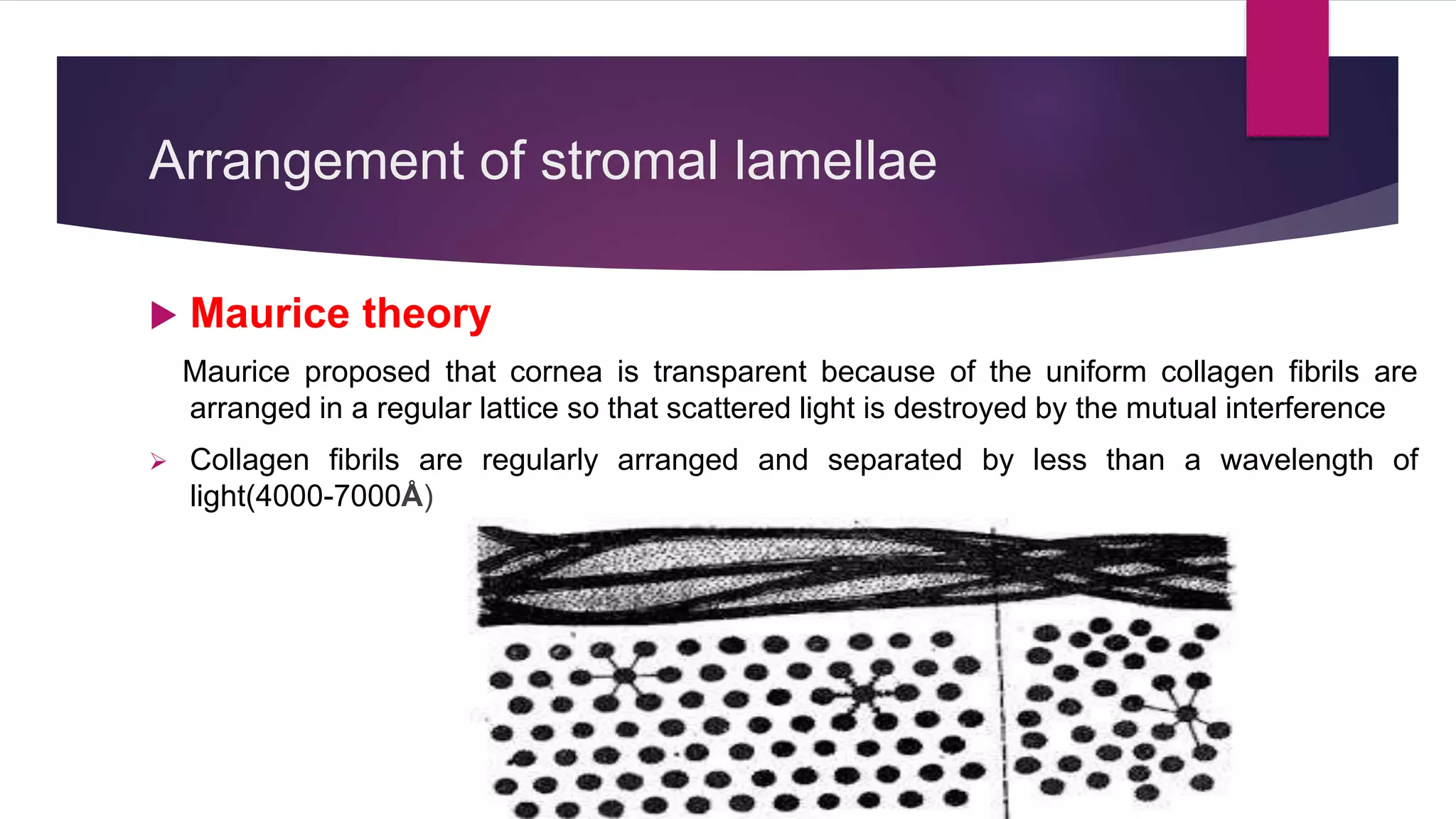 Corneal Physiology | PPTX