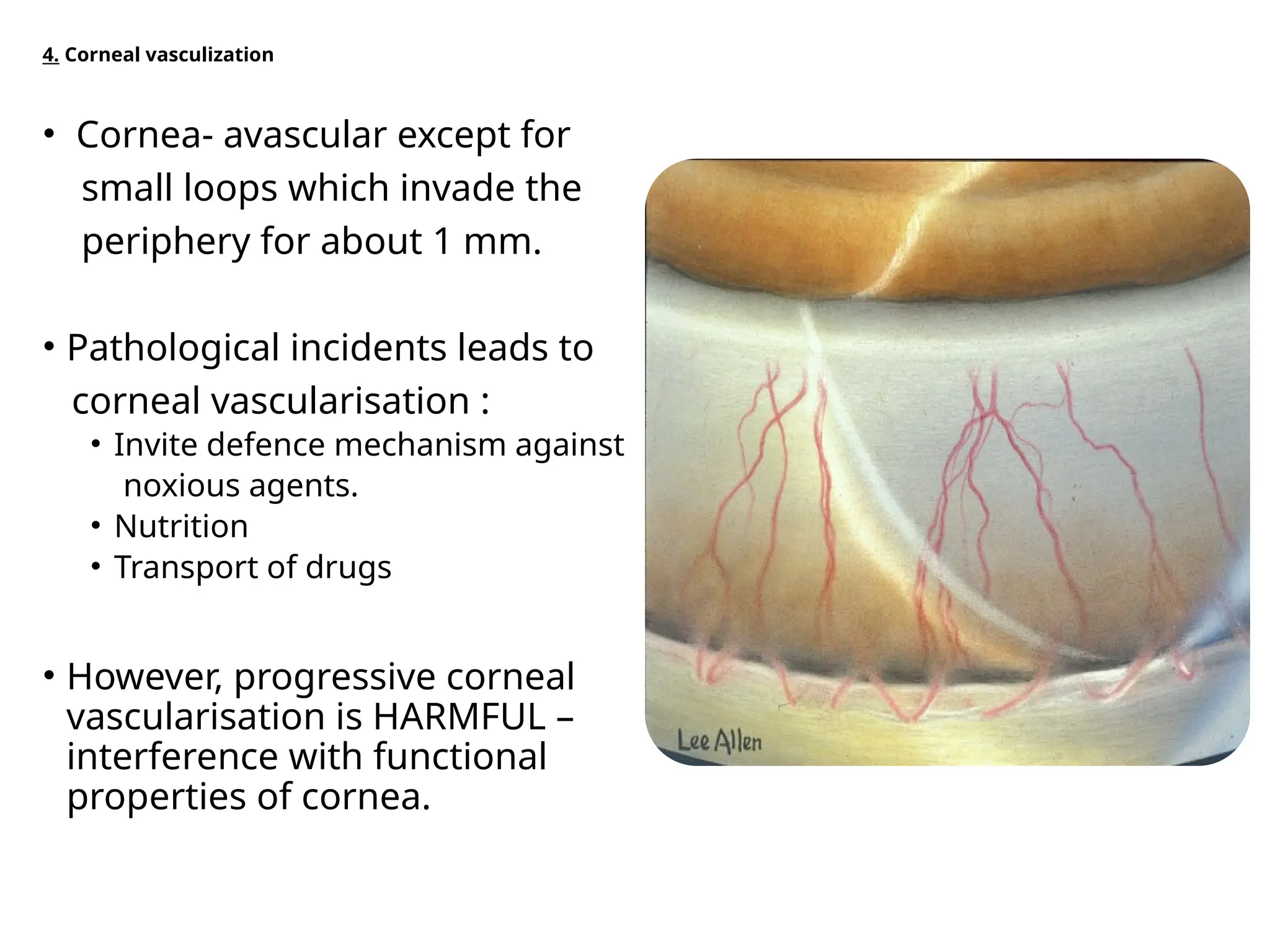 CORNEAL PHYSIOLOGY PRESENTATION POWER POINTP | PPTX