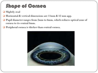 Corneal refractive surgery | PPTX