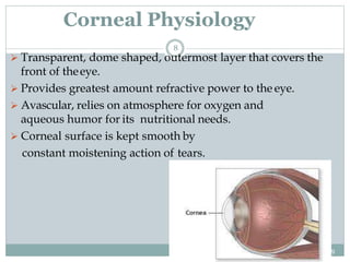 cornealrefractivesurgery-190216085714.pdf