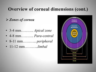 Corneal topography | PPT