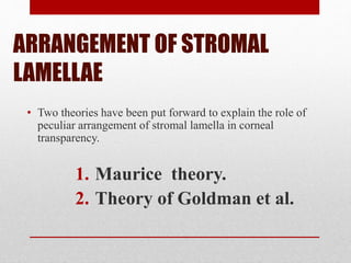 Corneal transparency | PDF