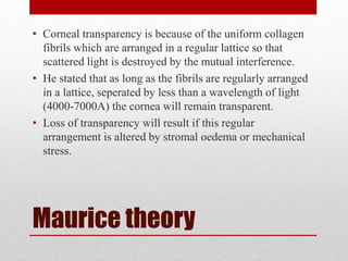Corneal transparency | PDF