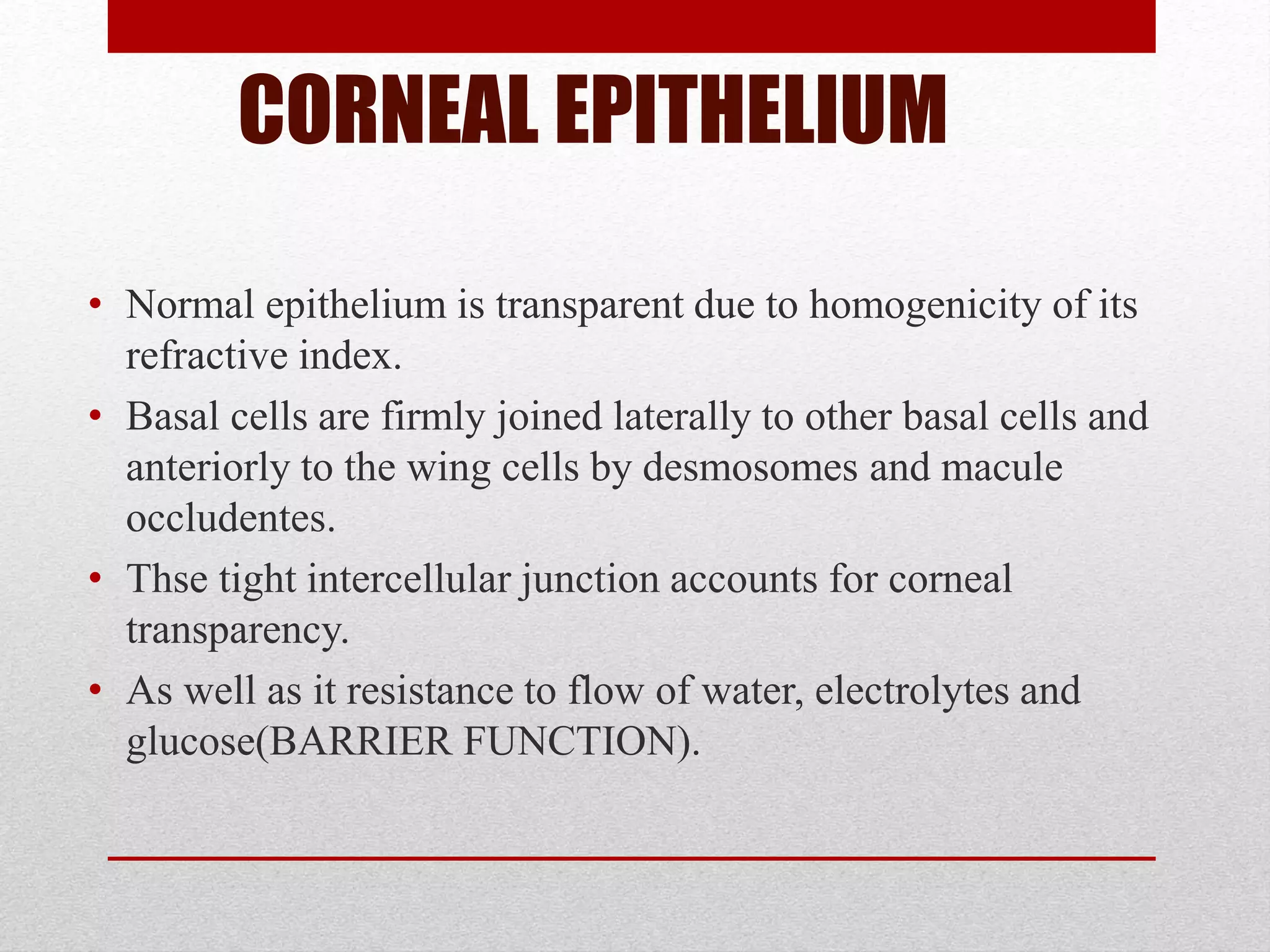 Corneal transparency | PPTX