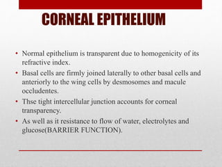 Corneal transparency | PPTX