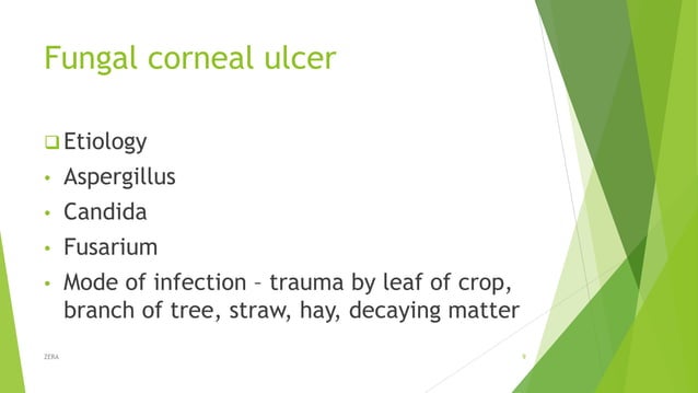 Corneal Ulcerpptx