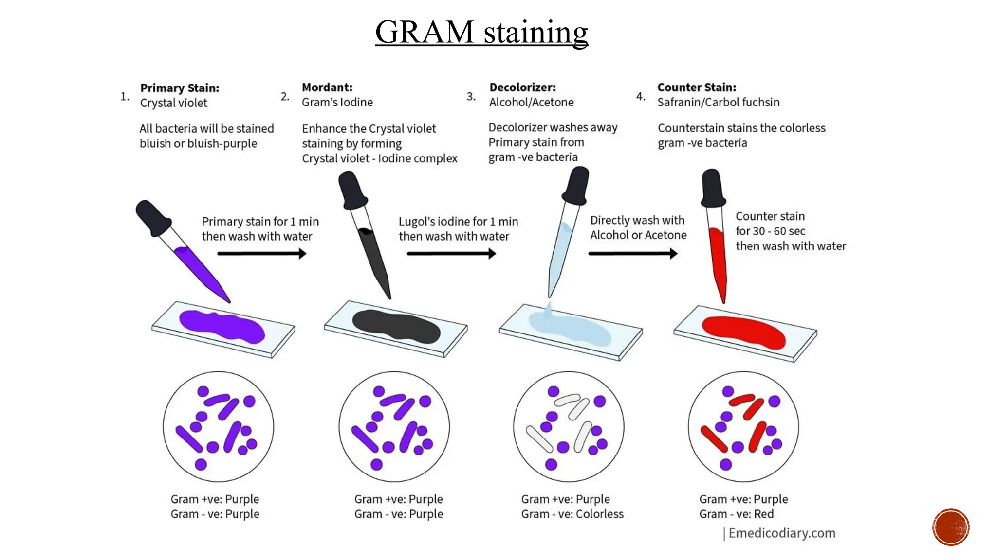 Corneal Ulcer Bacterial Fungal Acanthamoeba Pptx