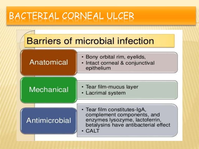 Corneal ulcer bact & fungal n | PPT