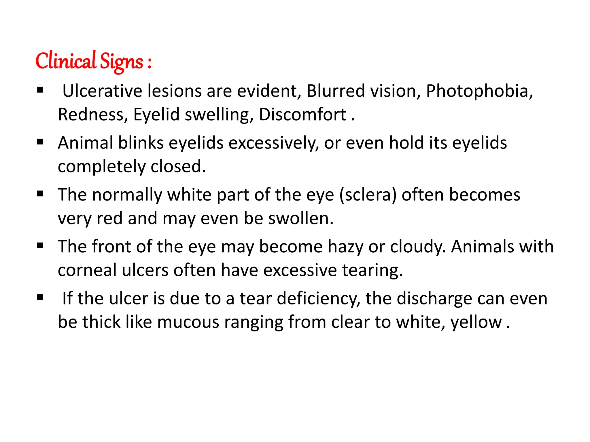Corneal ulcers seen in veterinary practice in dog.pptx