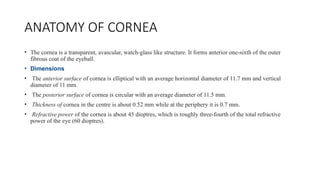 embryology of cornea. anatomy of cornea. | PPT