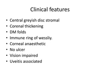 Cornea -immune mediated disorders | PPTX