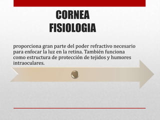 Cornea y esclerotic abn oftal | PPTX