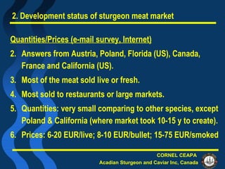 Cornel Ceapa Sturgeon Meat Market Warsaw 2008 | PPT