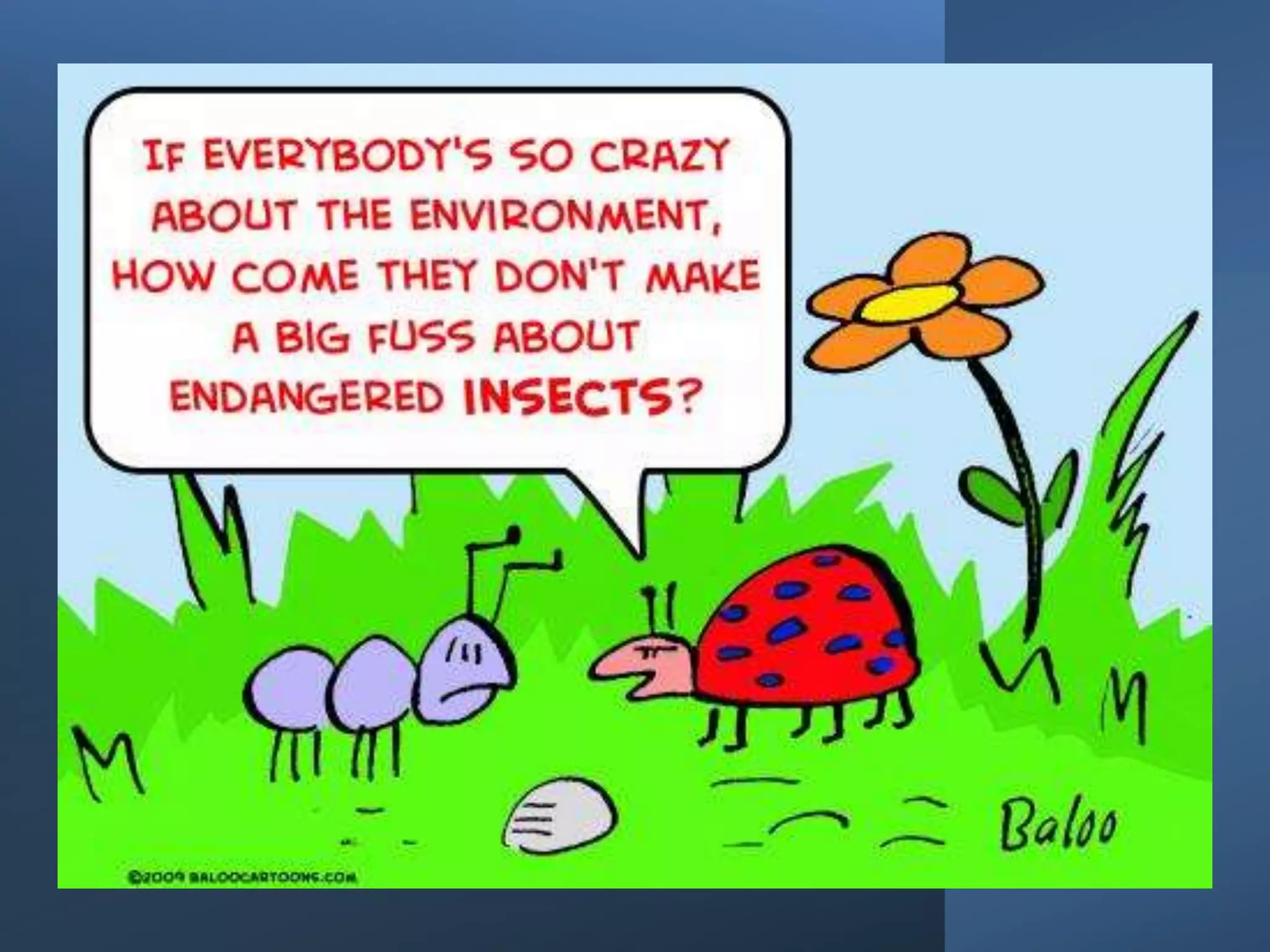 The Importance of Insects | PPTX