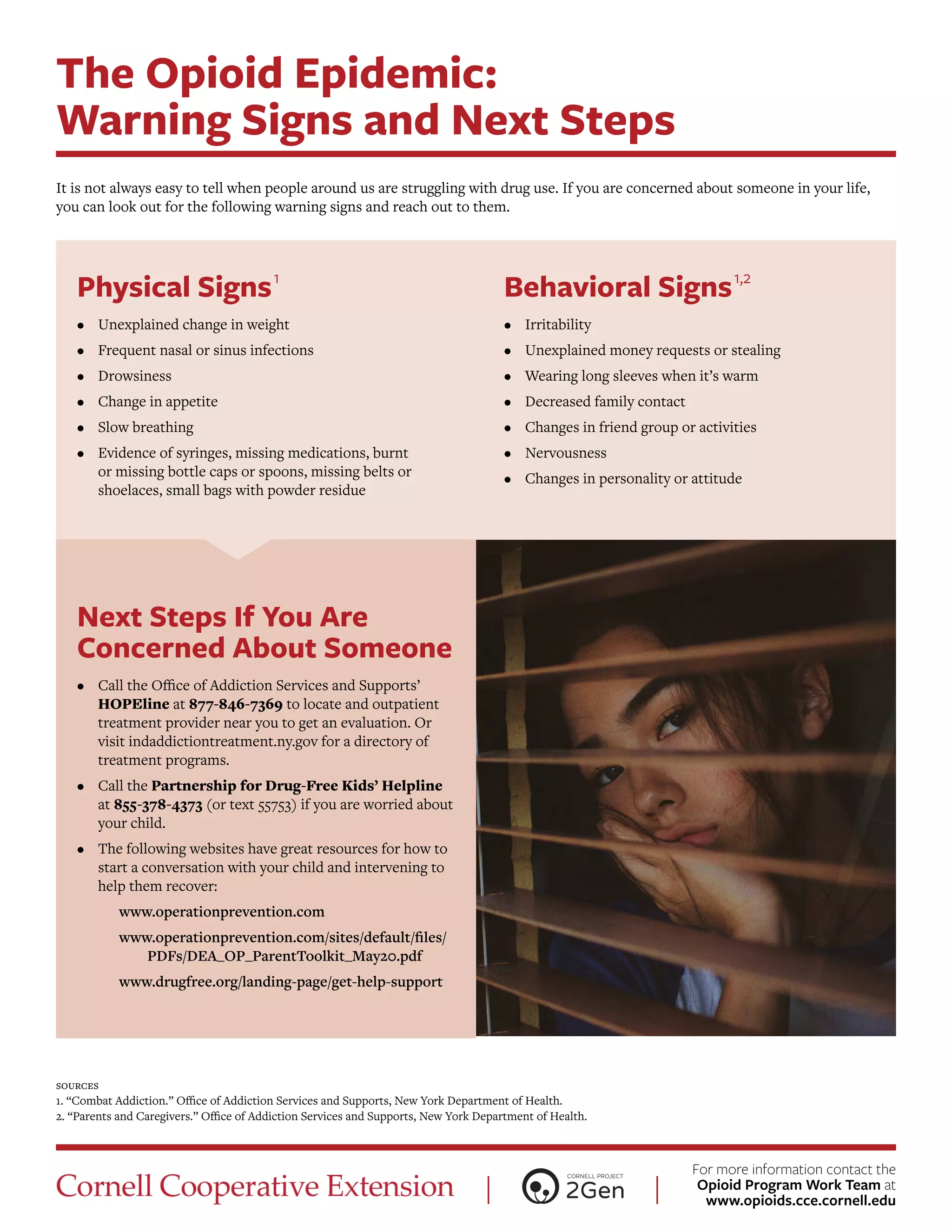 The Opioid Epidemic: Warning Signs and Next Steps | PDF