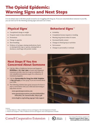 The Opioid Epidemic: Warning Signs and Next Steps | PDF