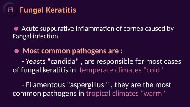 corneal,scleral and episcleral diseases.pptx