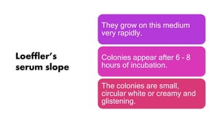 Corneybacterium diptheriae | PPTX