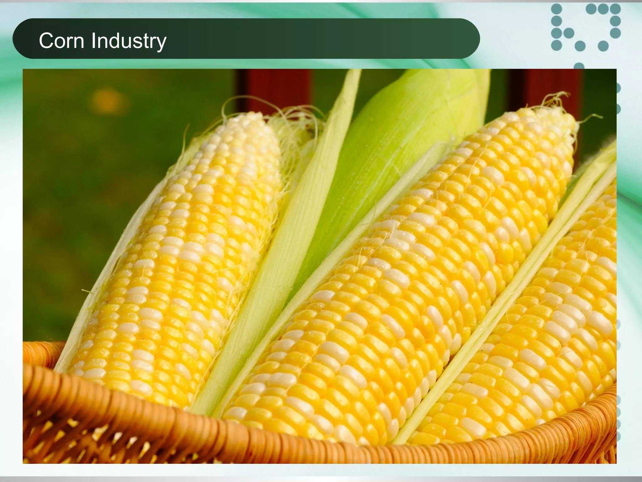 Corn industry presentation | PPT