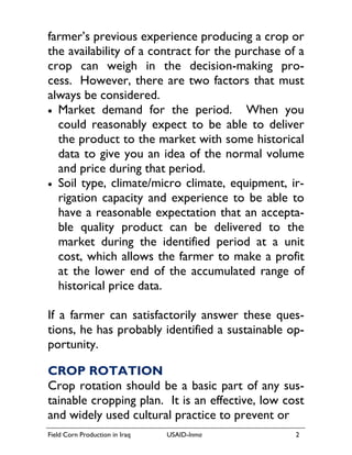 corn iraq.pdf