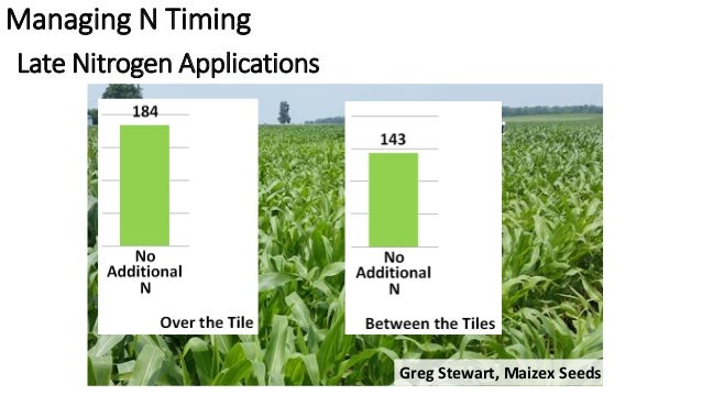 Corn Nitrogen Management - Ben Rosser - 14