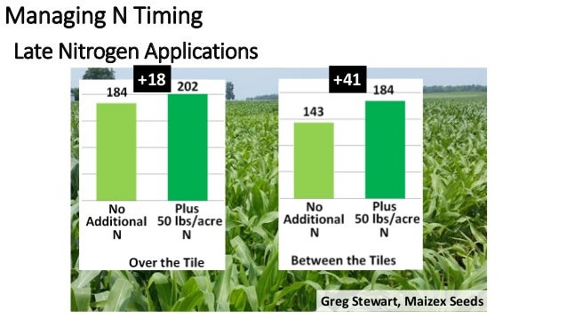 Corn Nitrogen Management - Ben Rosser - 14