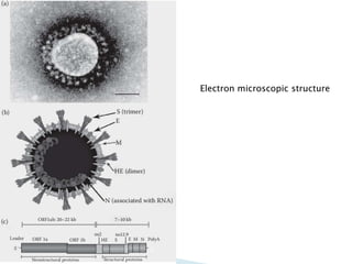 Cornovirus Microbiology and Management | PPTX