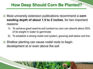 Corn planting depth | PDF