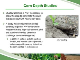 Corn planting depth | PDF