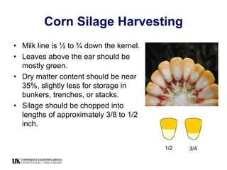 Corn Silage Production (Animal Nutrition) | PPTX