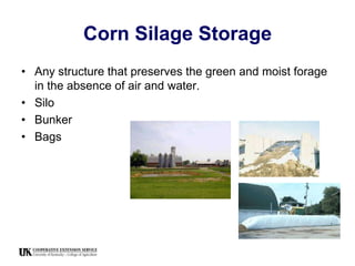 Corn Silage Production (Animal Nutrition) | PPTX