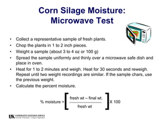 Corn Silage Production (Animal Nutrition) | PPTX