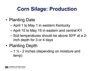 Corn Silage Production (Animal Nutrition) | PPTX