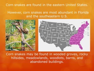 Where Do Snakes Live Map