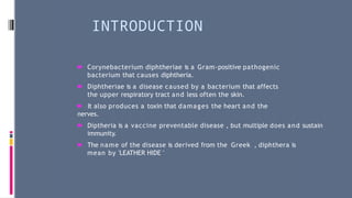 CORNYBACTERIUM DIPHTHERIA IN MEDICAL BACTERIOLOGY pptx | PPT