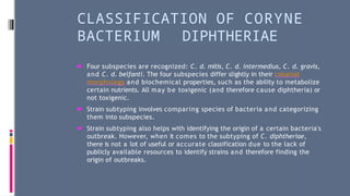 CORNYBACTERIUM DIPHTHERIA IN MEDICAL BACTERIOLOGY pptx | PPT