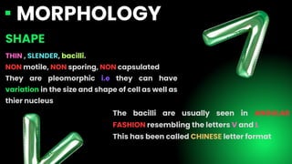 cornybacterium diphtherium pathology bacteria | PDF