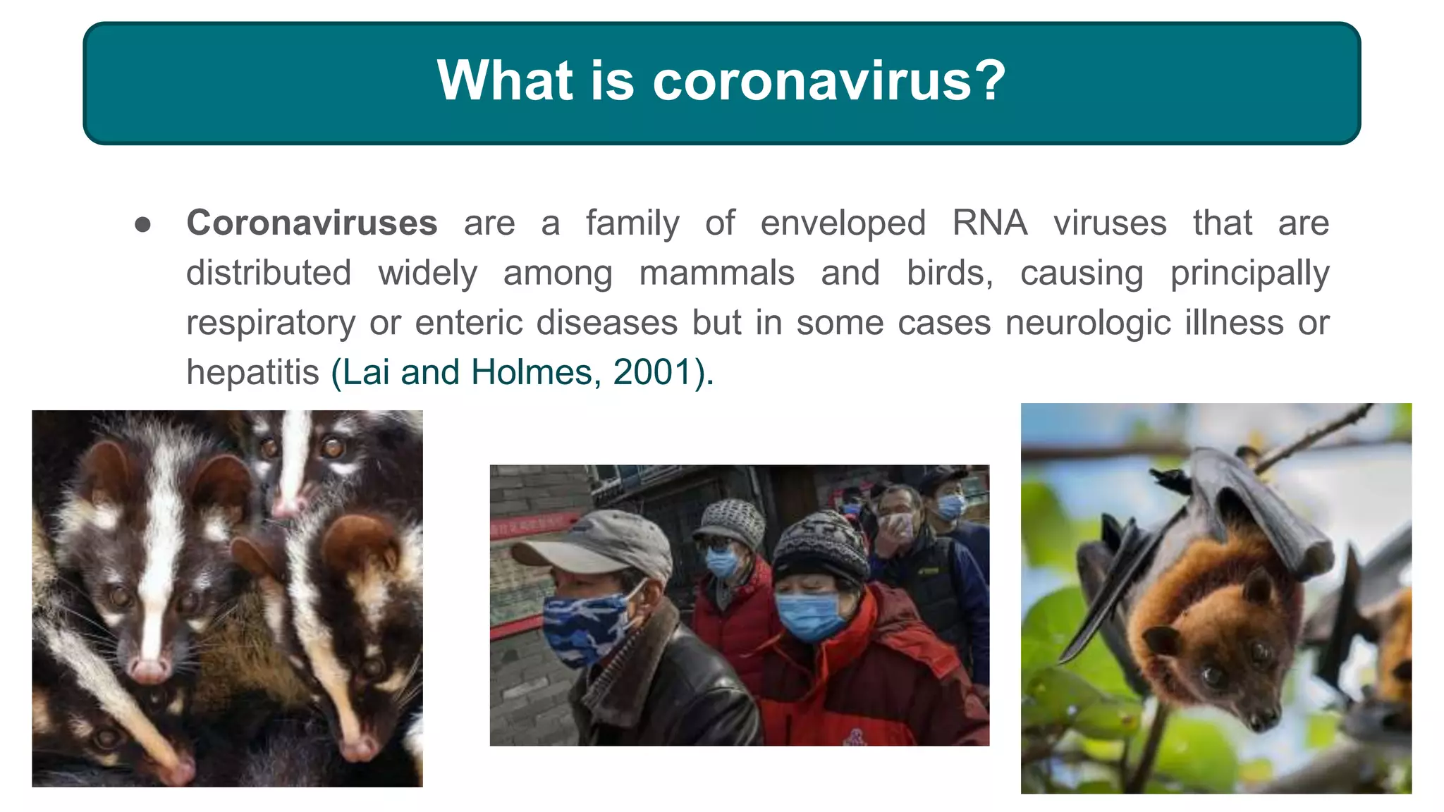 Corona Virus: facts & myths | PPTX | Infectious Diseases | Diseases and ...